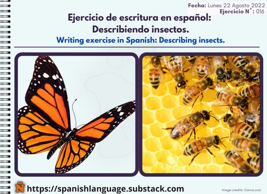 Spanish Writing Exercise: Describing insects. (016)