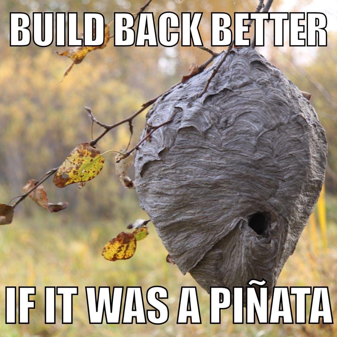 random memes - Rays the alarm