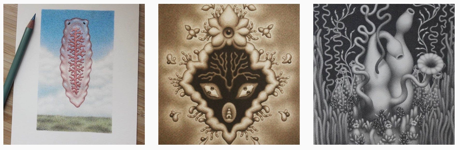 The Magnet 0013 — a list of eponymous laws