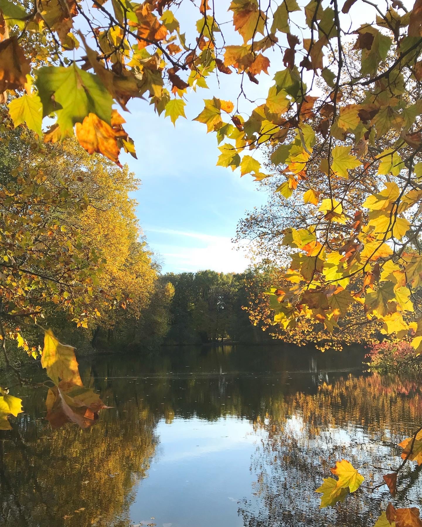 Cody Golbad | Substack