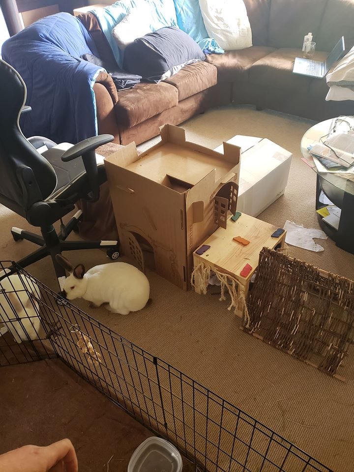 Rabbit = Good Friend - by Noah Smith - Noahpinion