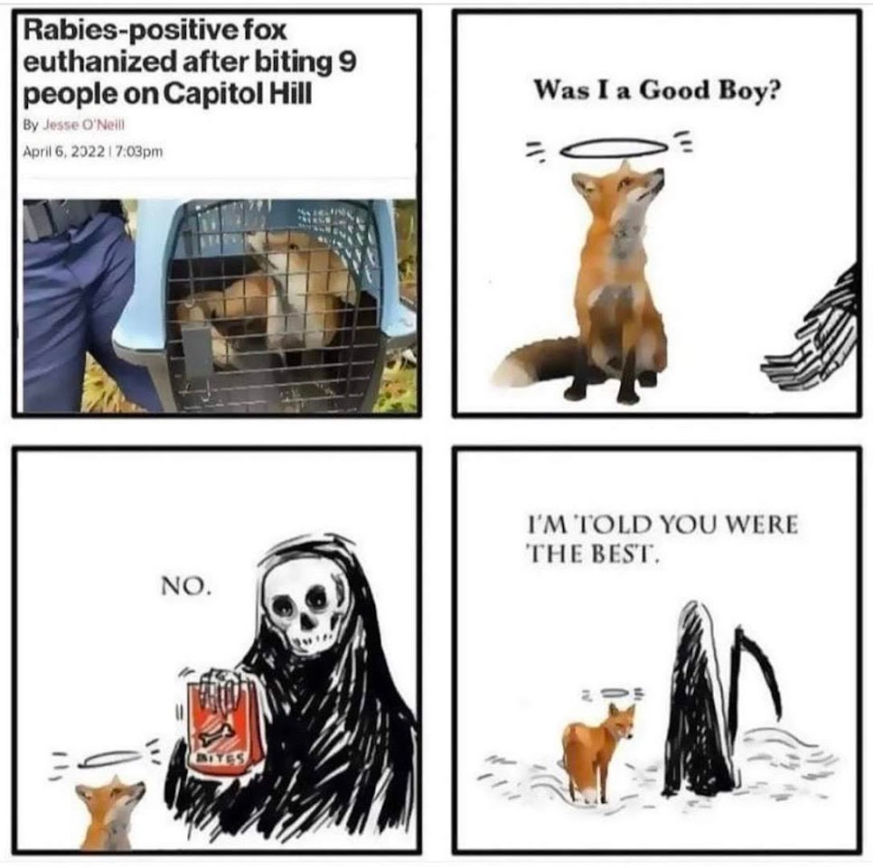 Potent Meme Collection #2 - by Adam Sharp - Convivium