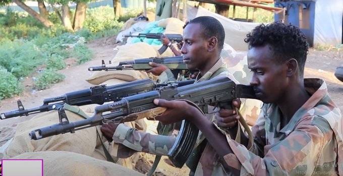Weapons of Al-Shabaab: An Analysis the Group's Arsenal from the "Sayid ...