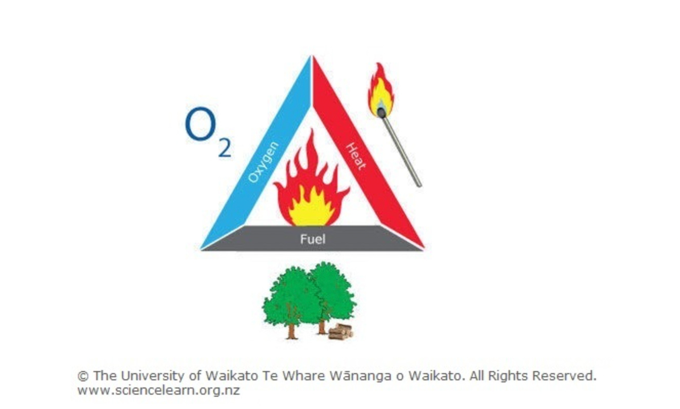 Anatomy of Fire 🔥 - by BowTiedOctopod