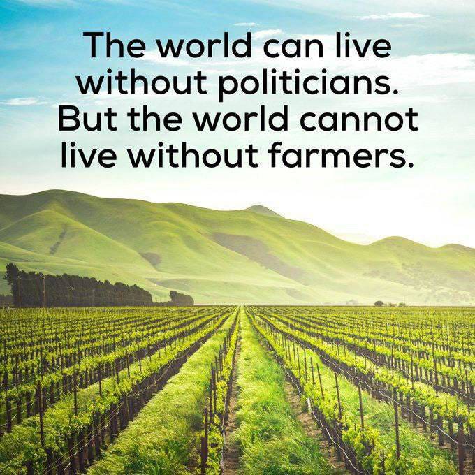 RESISTANCE MEMES - by Frances Leader - Uncensored