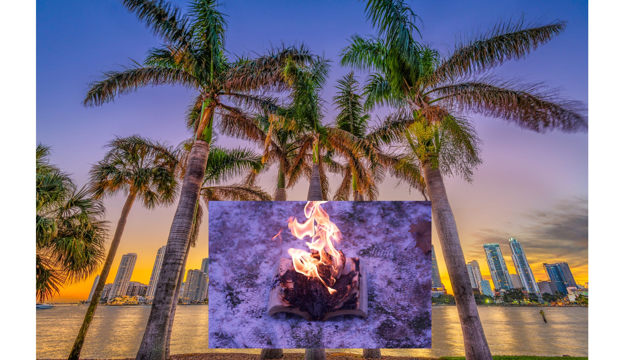 DeSantis Shocked So Many Kids In Florida Want to Read Books