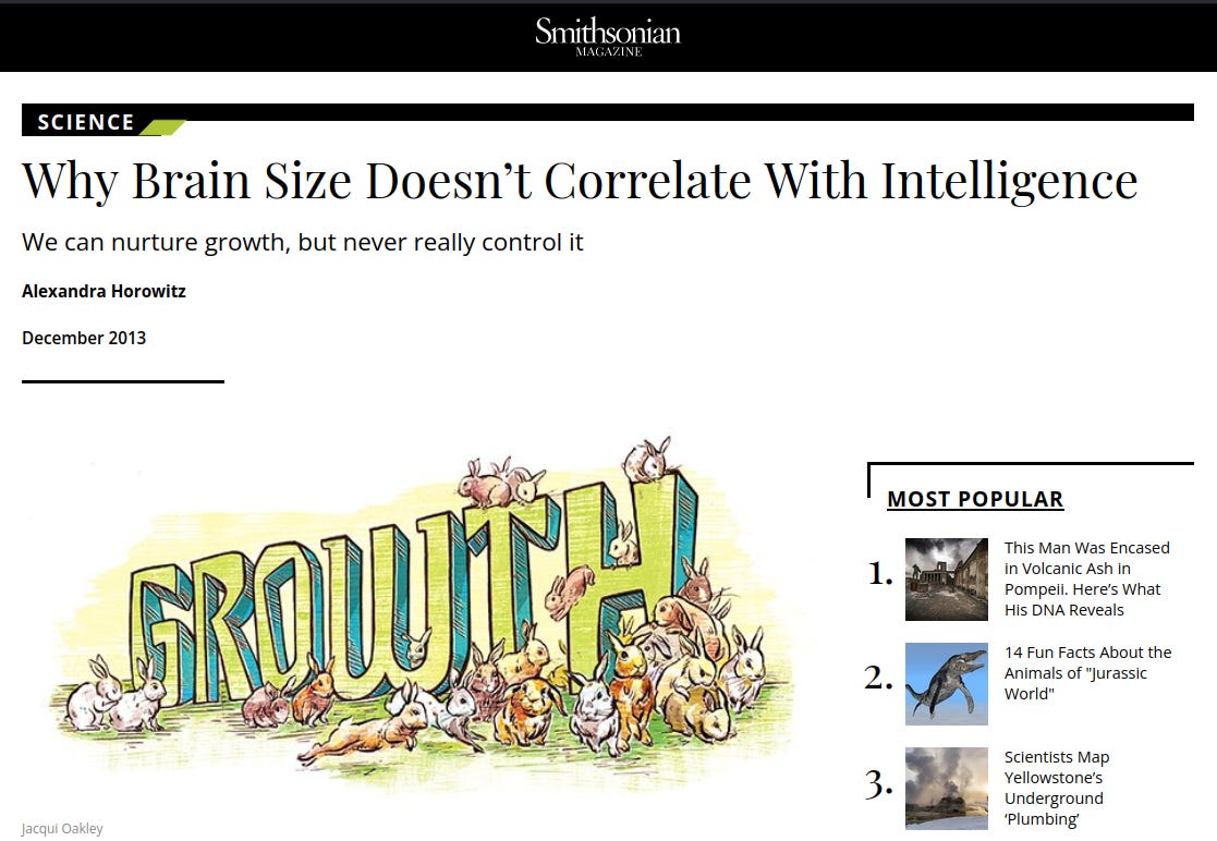 Brain size and intelligence: 2022