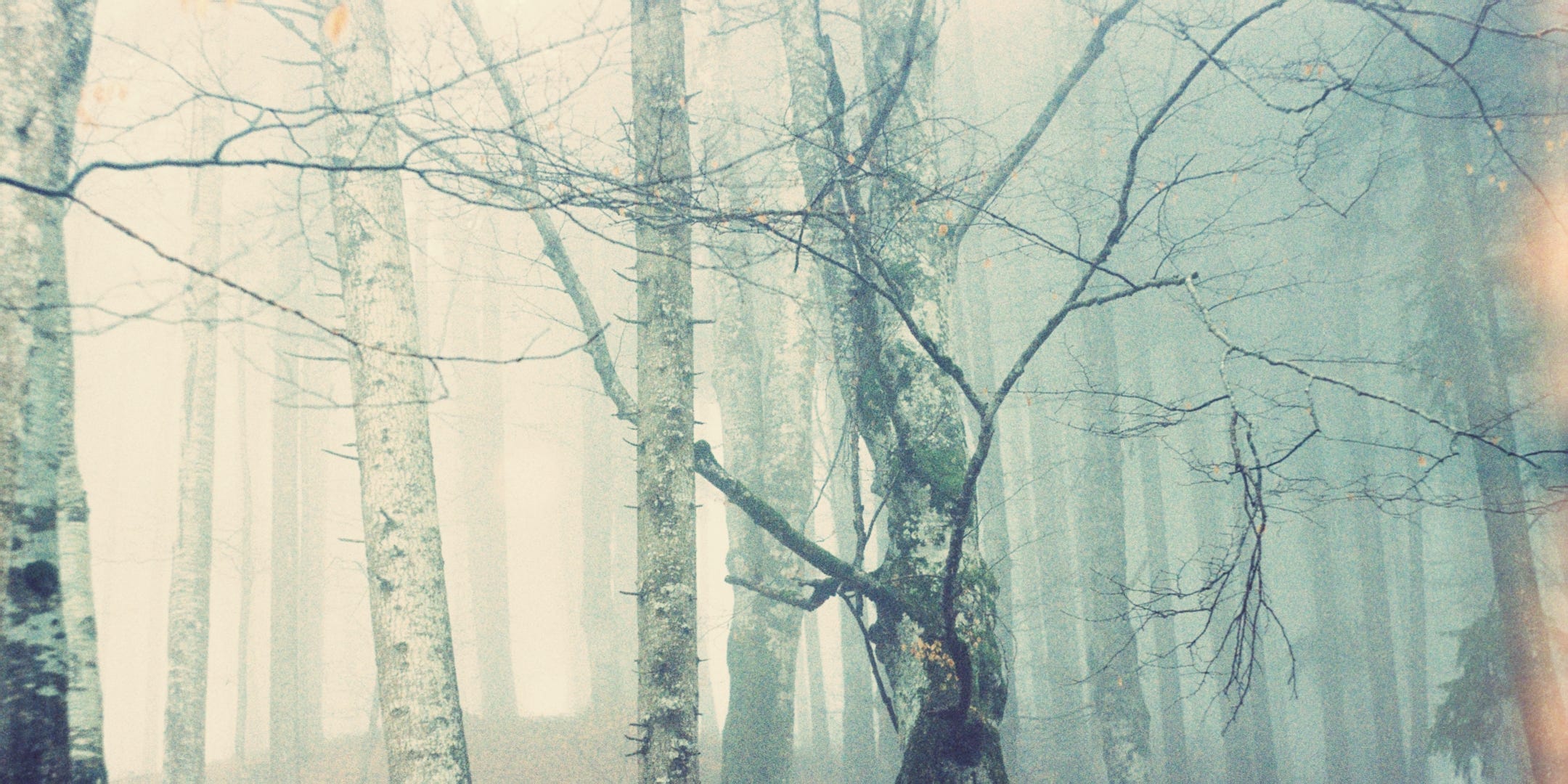 The numinous silence of being - by Andō - Silentium