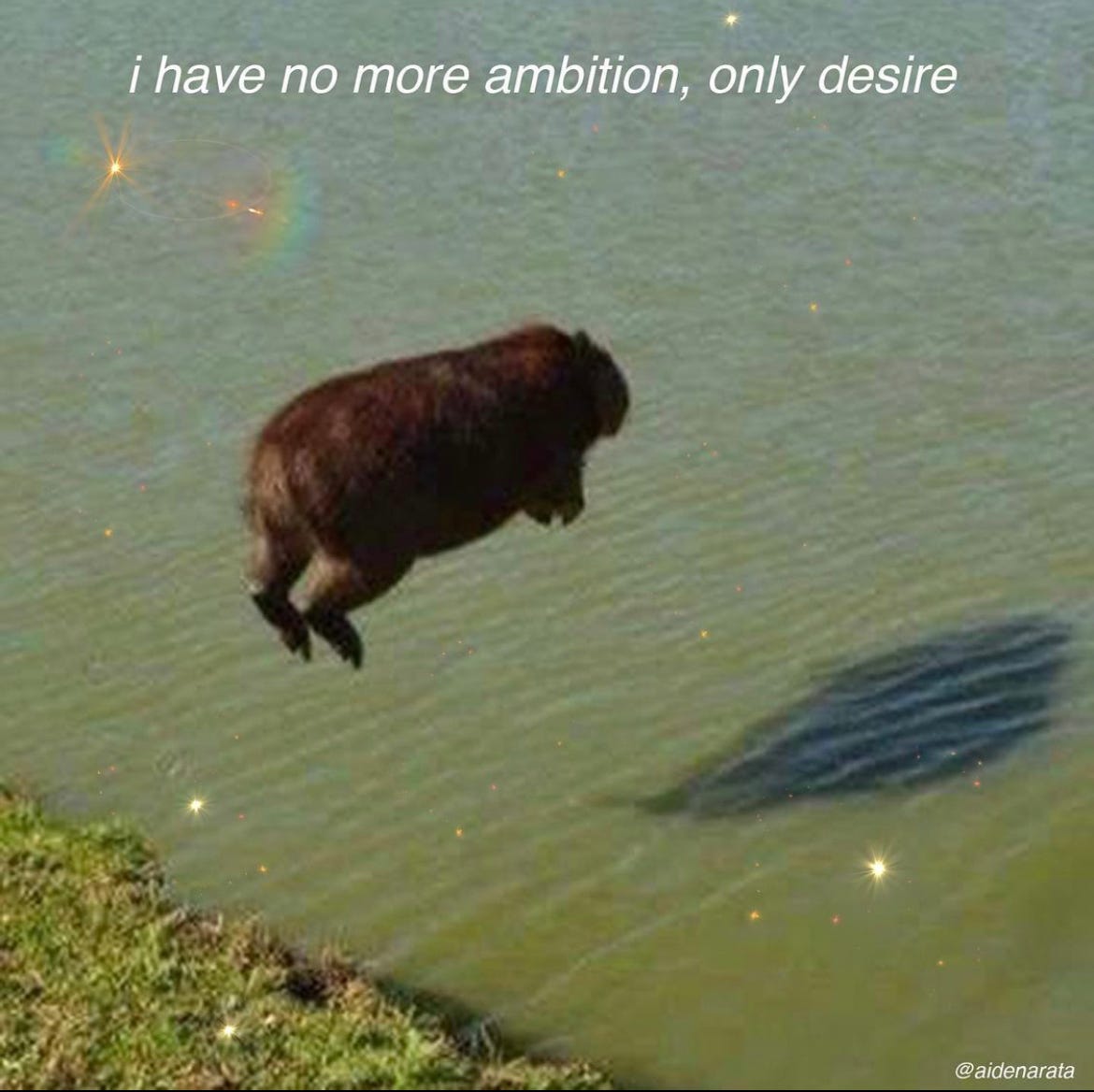 on this past year - by kat fukui - kat is present