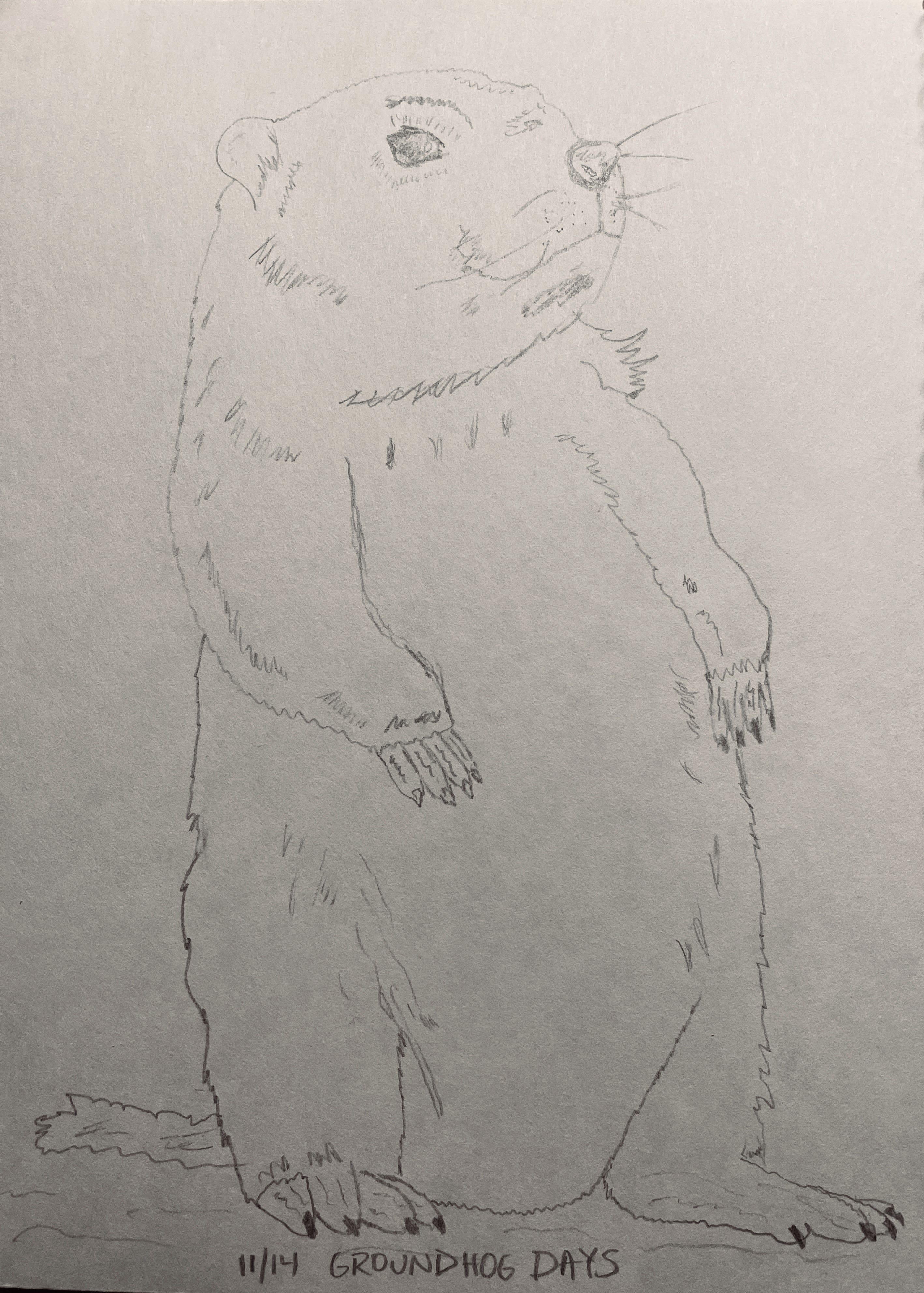 Designing my perfect day - by Dakota Gale - Traipsing About