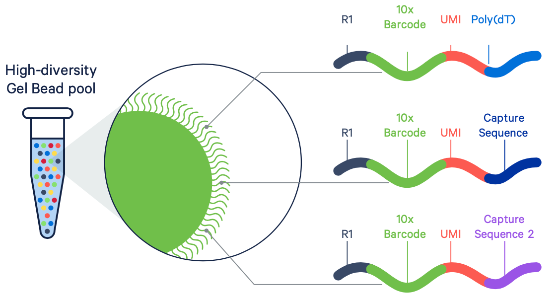 What's different? Part two: Synthesis - by Elliot Hershberg