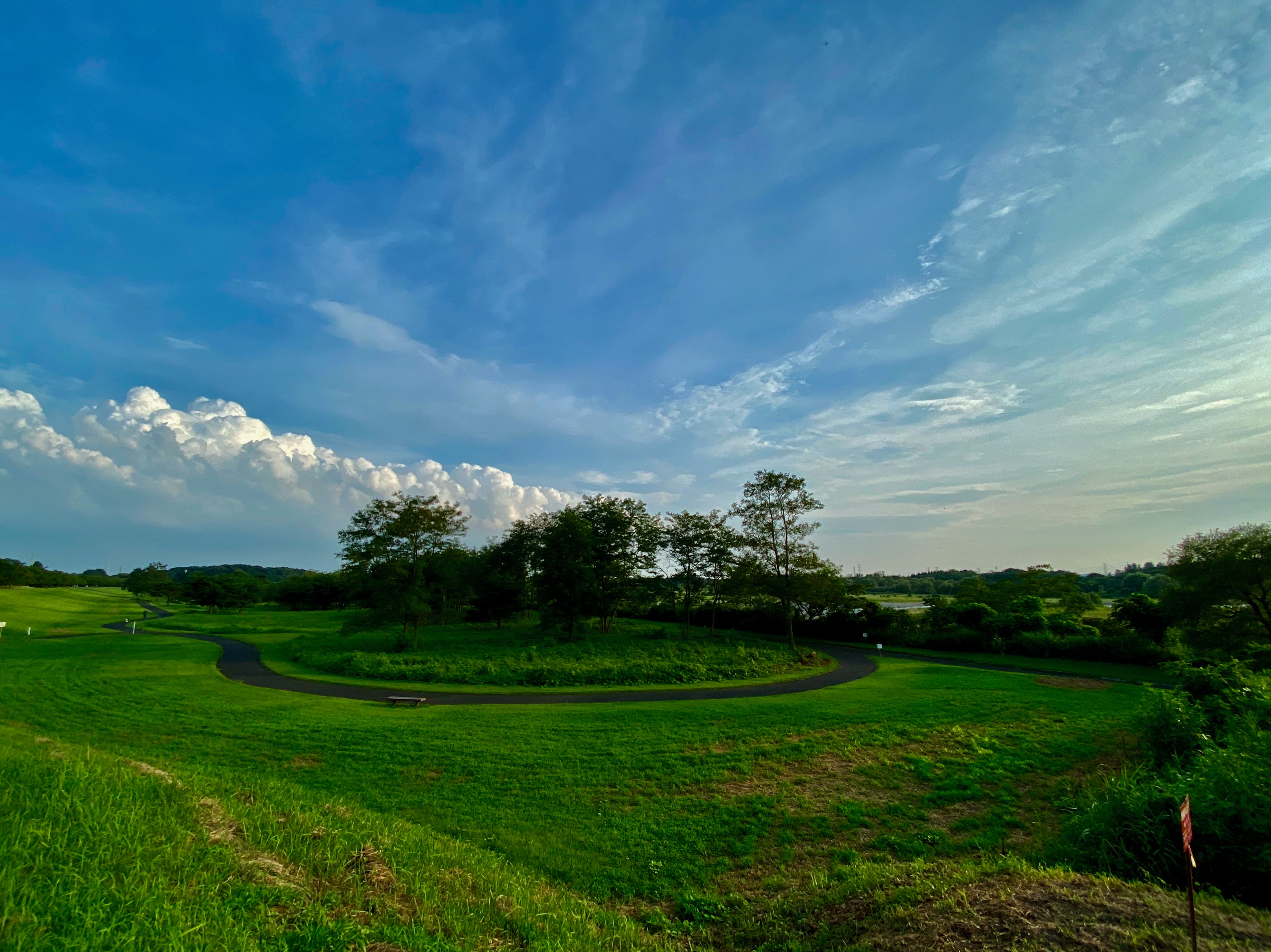 Light Touch - by Joel Neff - 91 Days