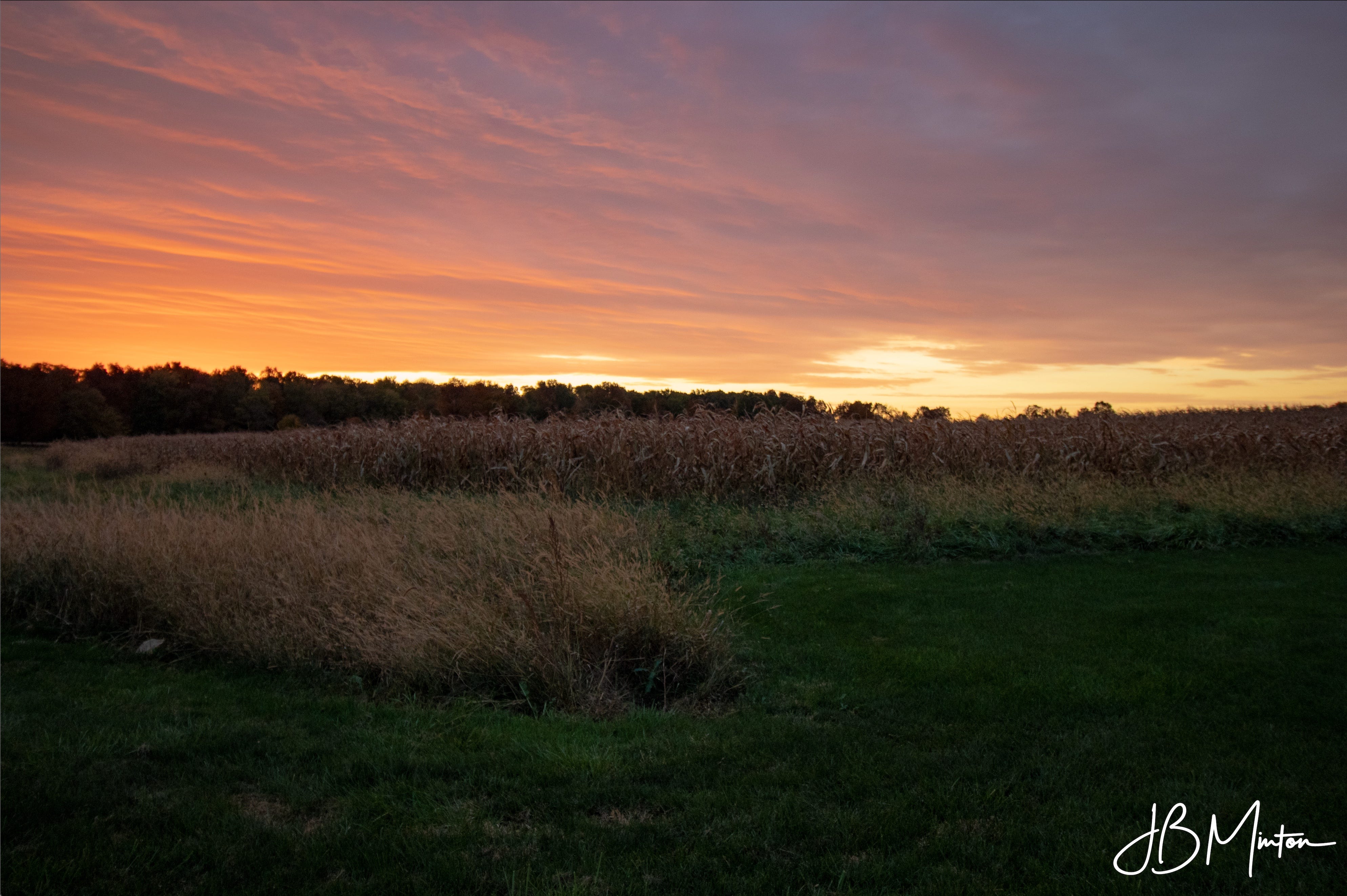 [Poem] We Invest - by JB Minton 📺 - JB Minton