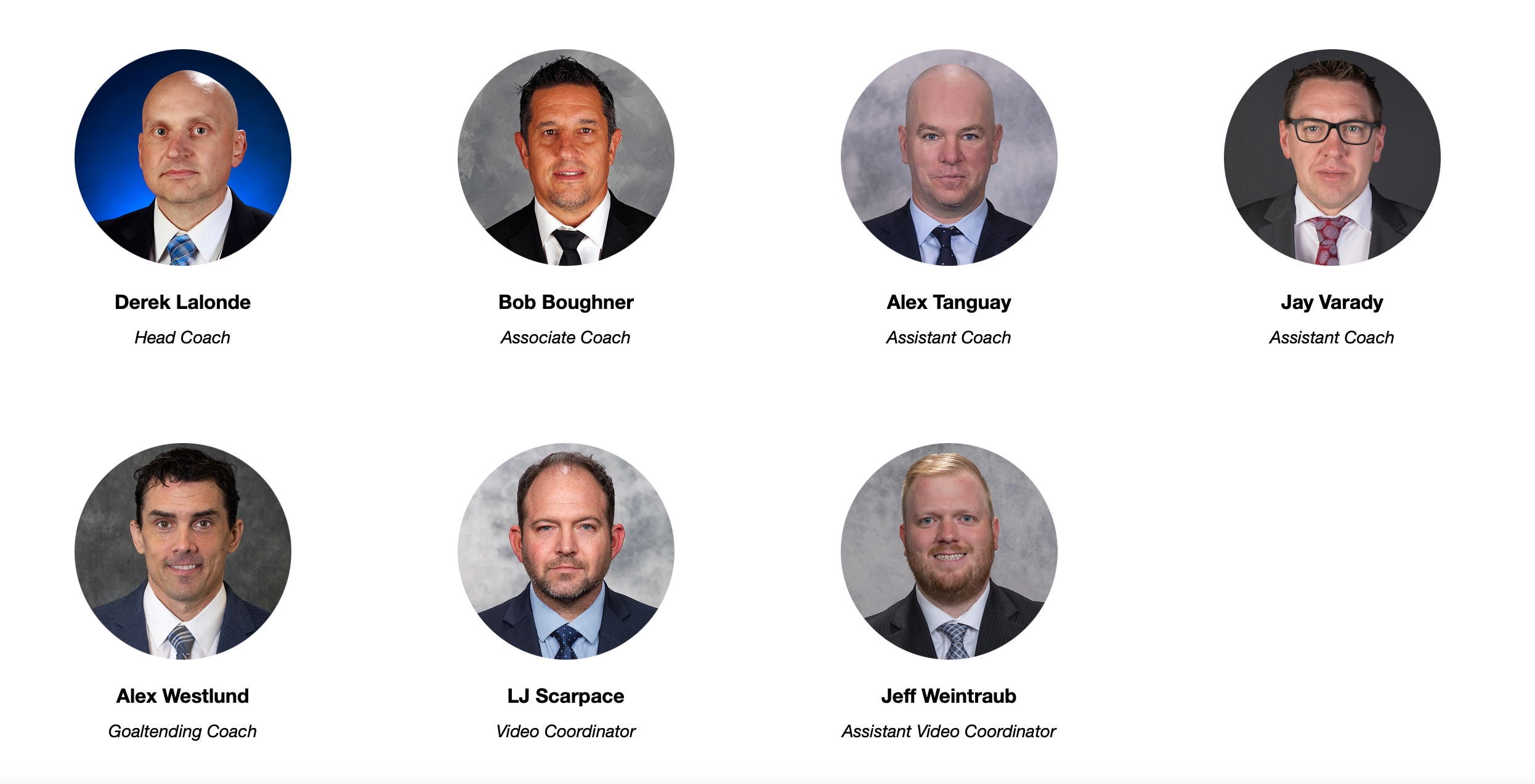 What do the Red Wings assistant coaches actually do?