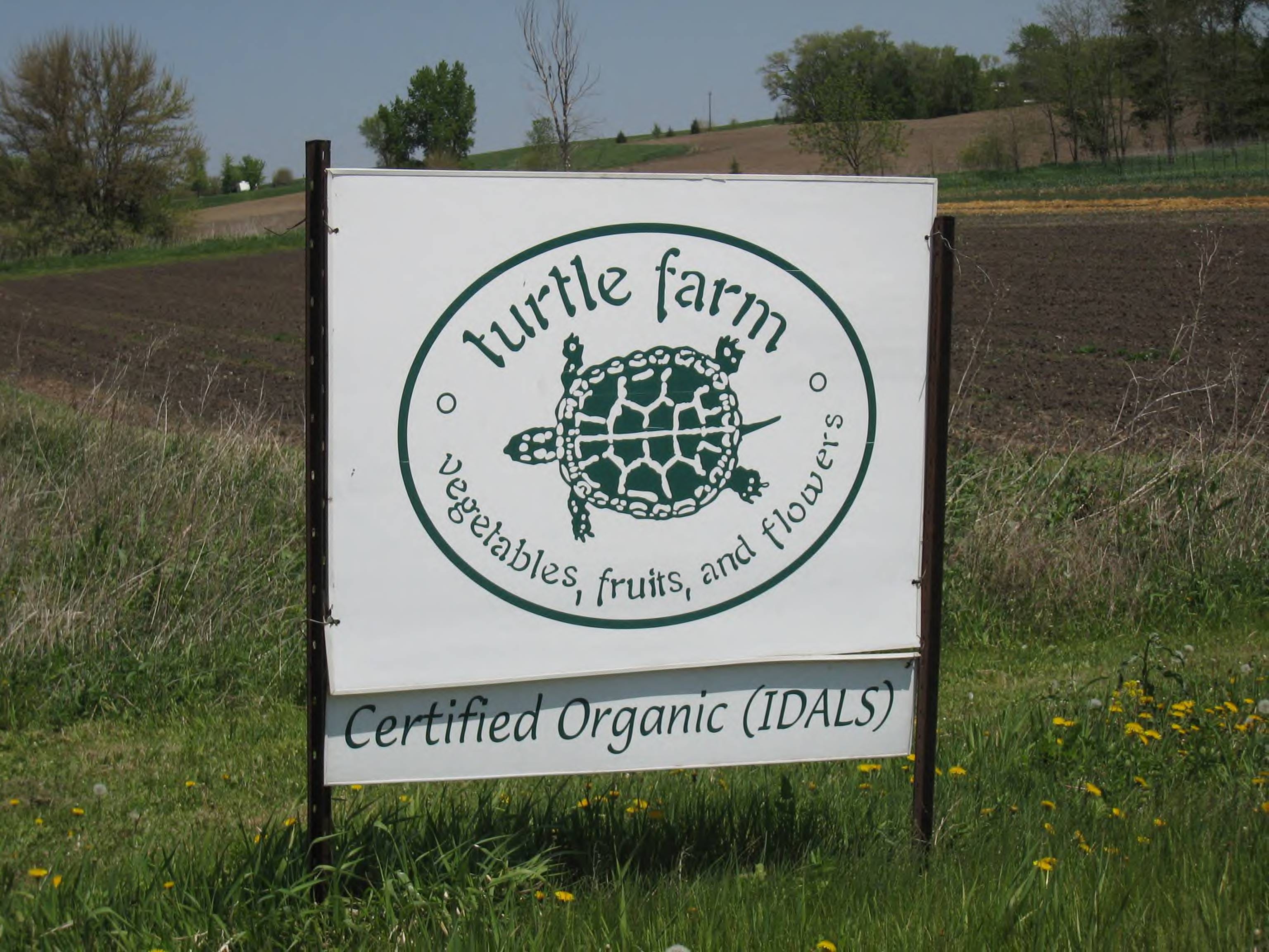 Finding Turtle Farm - Mary Swander’s Buggy Land