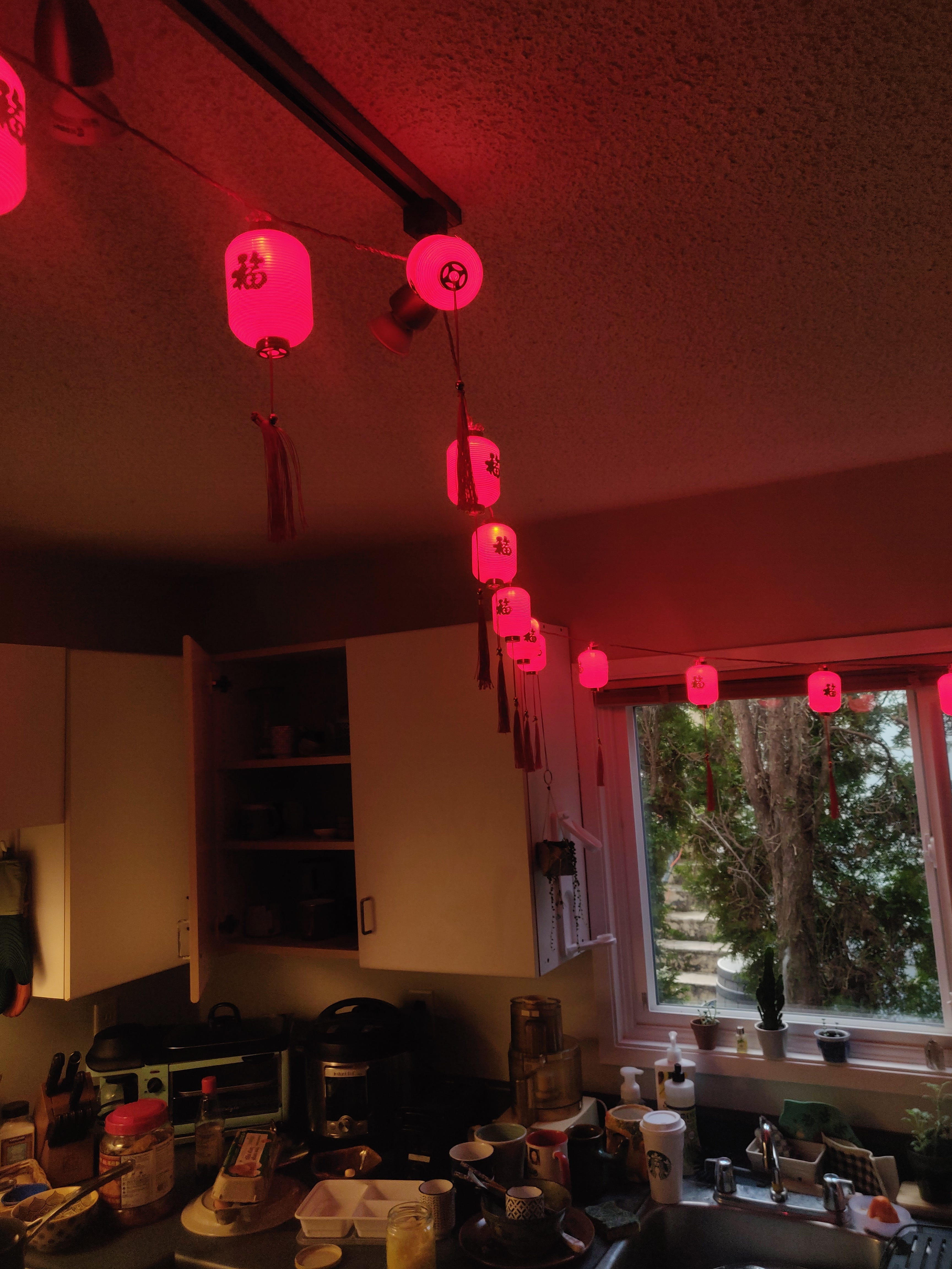 Student Politics, UVic Indifference, Bike Lanes