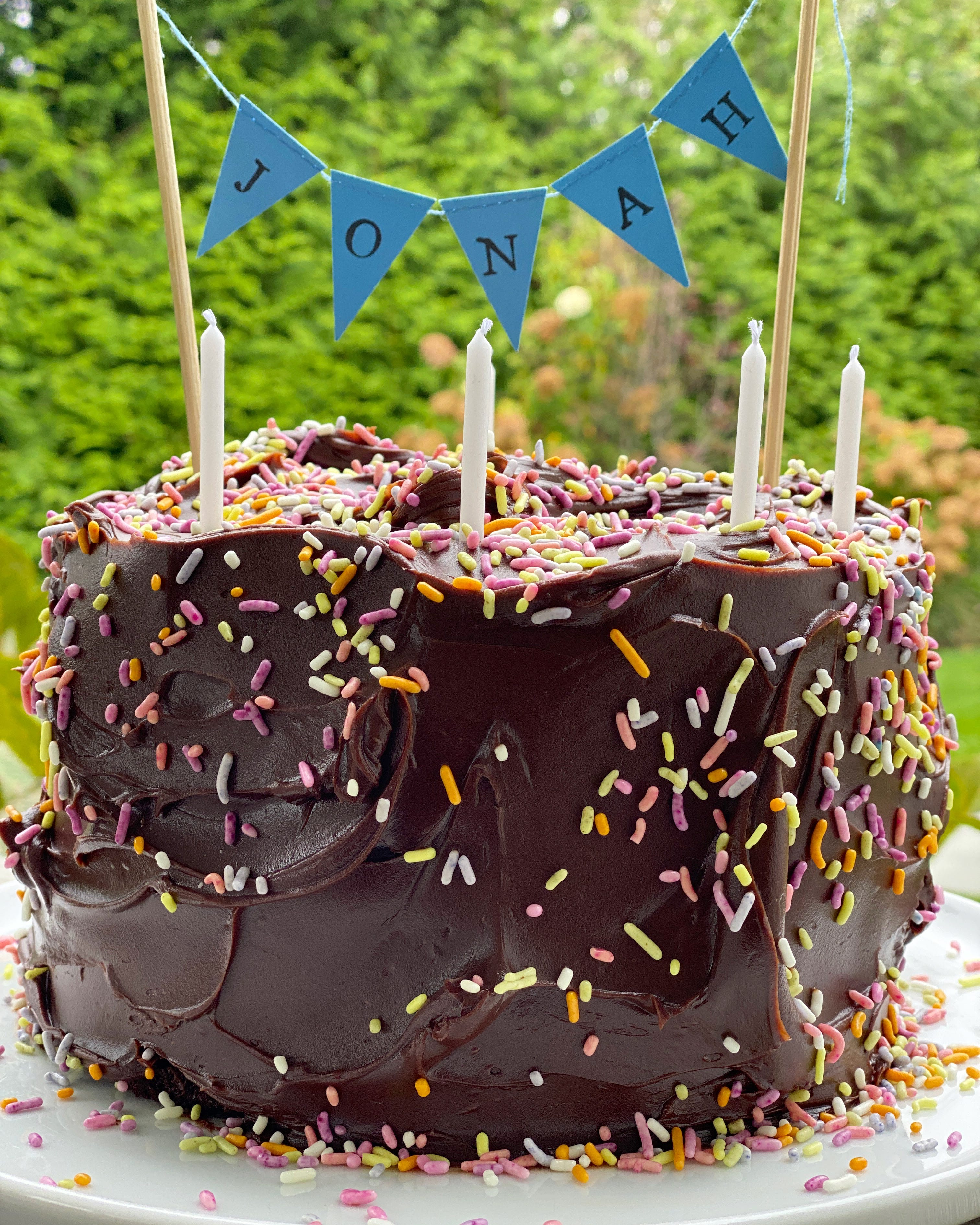The Only Birthday Cake You'll Ever Need - by Susan Spungen