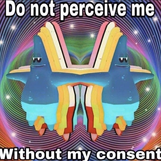 Do Not Perceive Me (Do Not Read This)