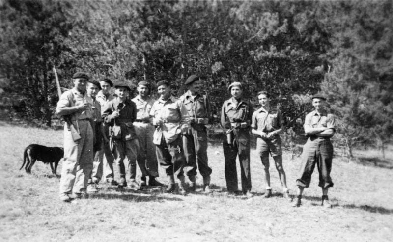 The OSS Jedburgh Teams, 1944-45 - by Brenda Elthon