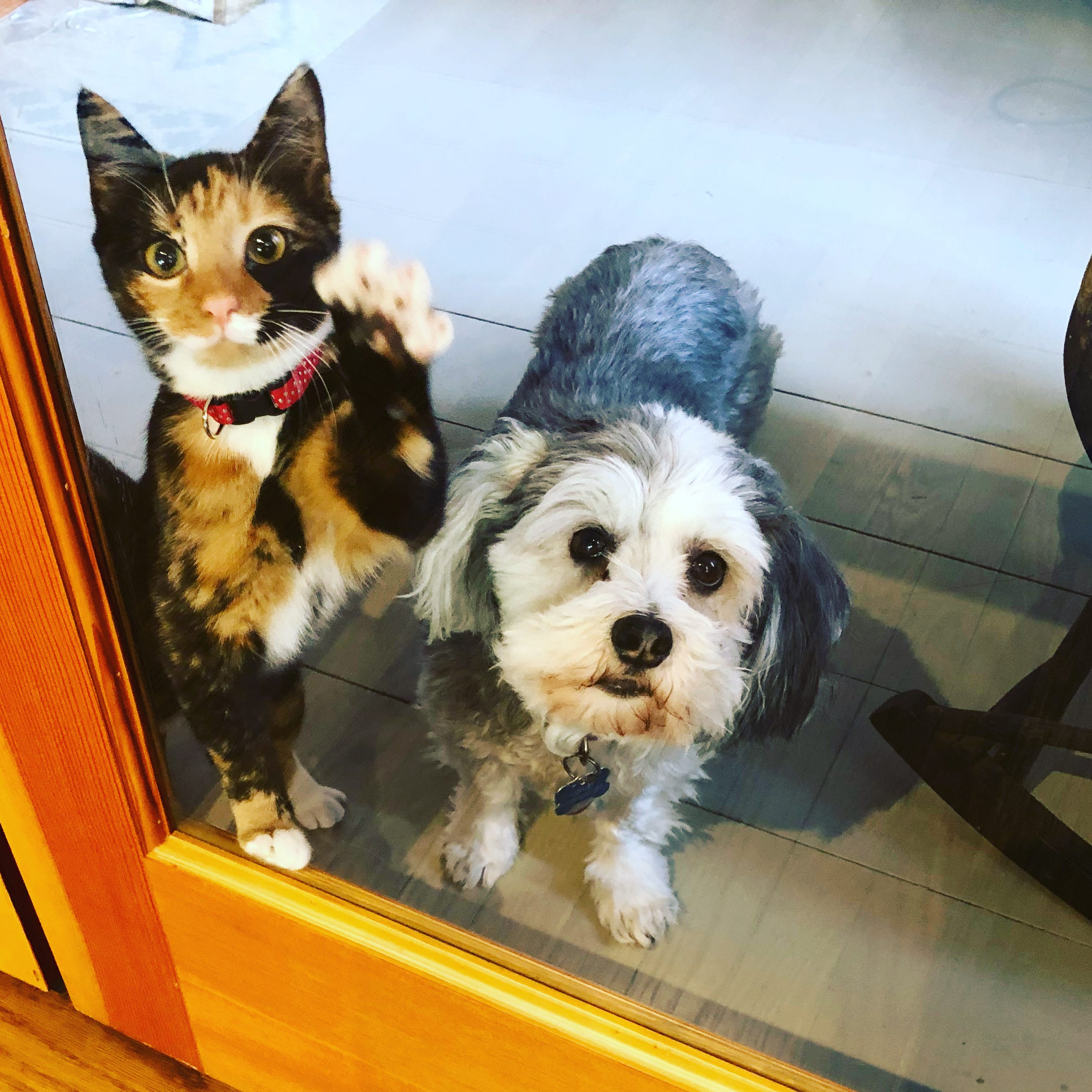 Michelle Felton & eating disorders