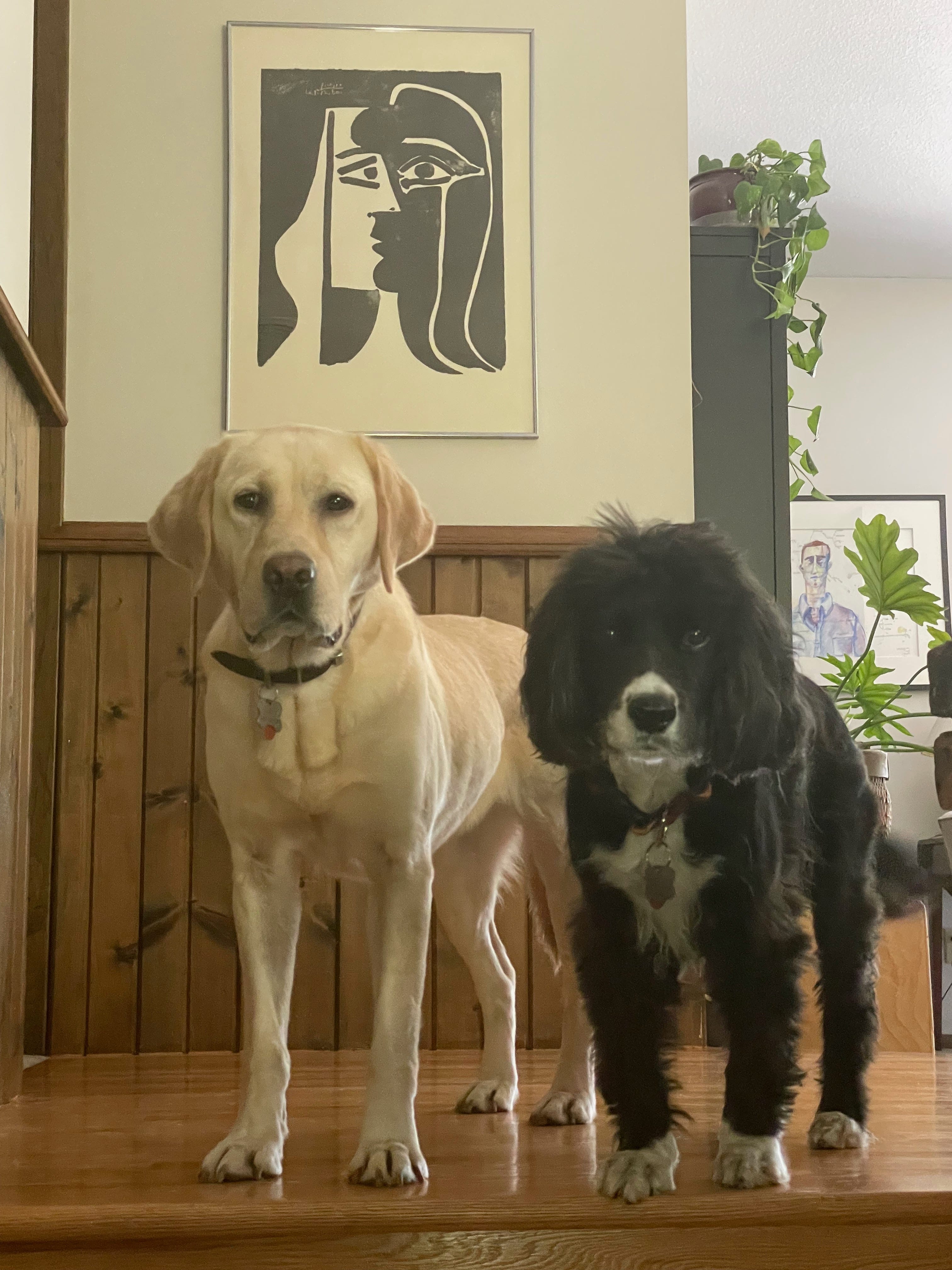 My Old Kentucky Picasso - by Jeff Rabkin - The Last Friday