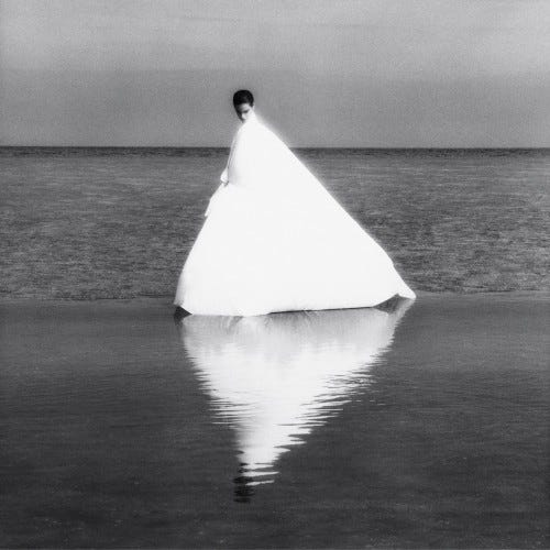 A Writer's Body Insists - by Michelle Jia