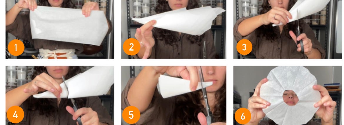 Orange-Cardamom Olive Oil Cake - Carolina Gelen