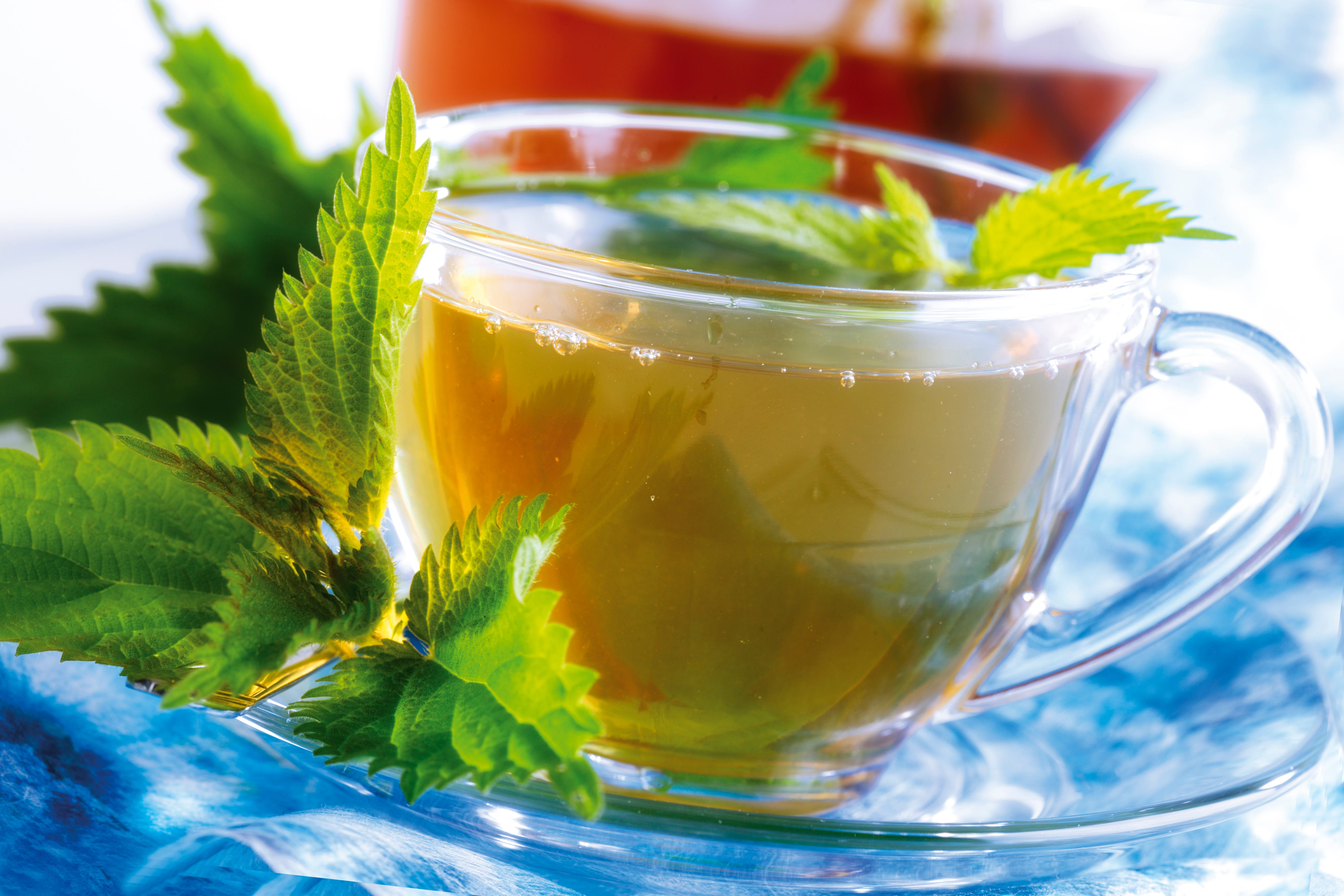 Is nettle tea a good source of iron? - by Dr. Jen Gunter