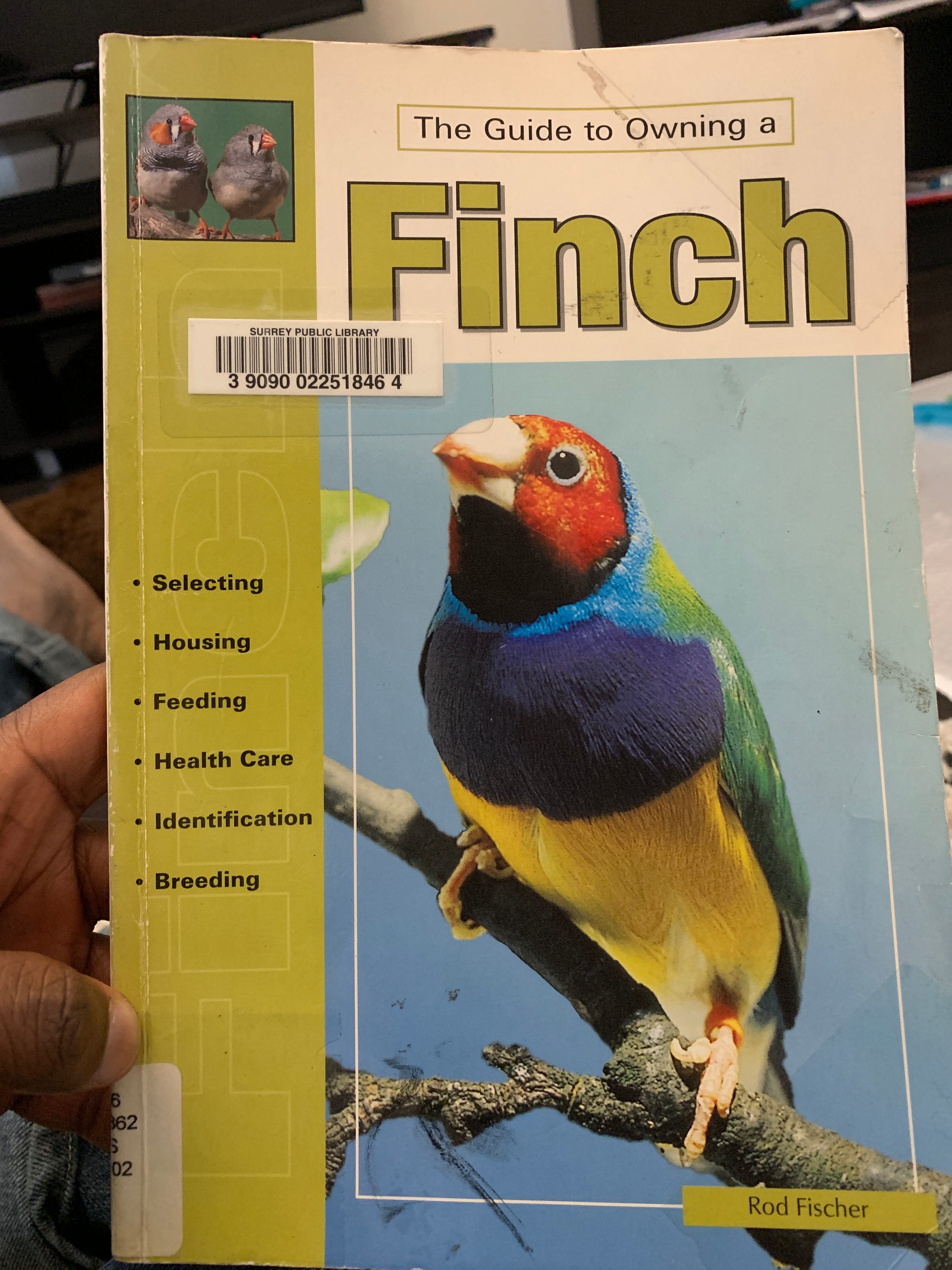 A timeline of my second collection's journey to print