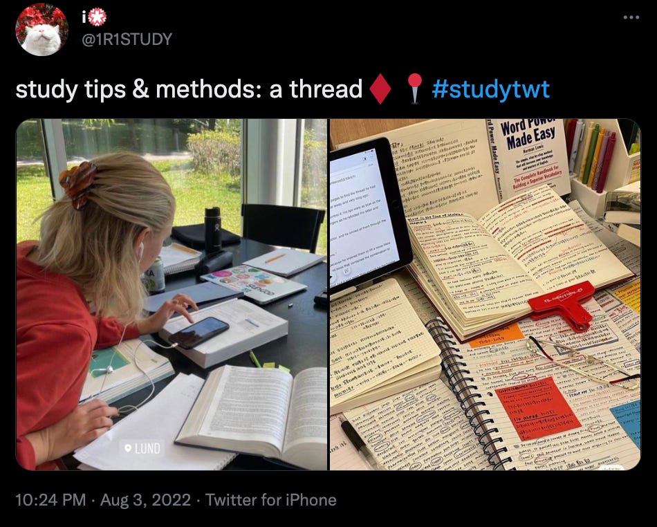Austin Scholar #27: ESSENTIAL Resources For Going Back To School