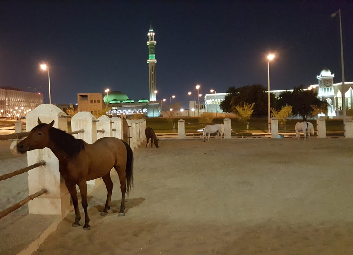 The World Cup newsletter - by Liam Callaghan