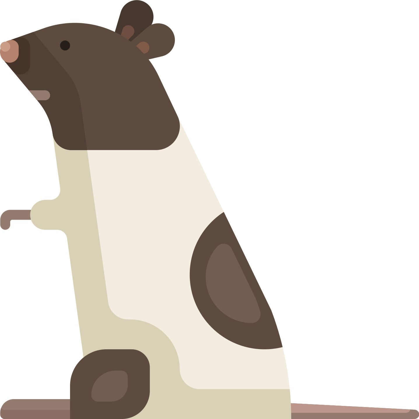 Extinct Christmas Island Rat Genome Sequenced; Plans for De-Extinction