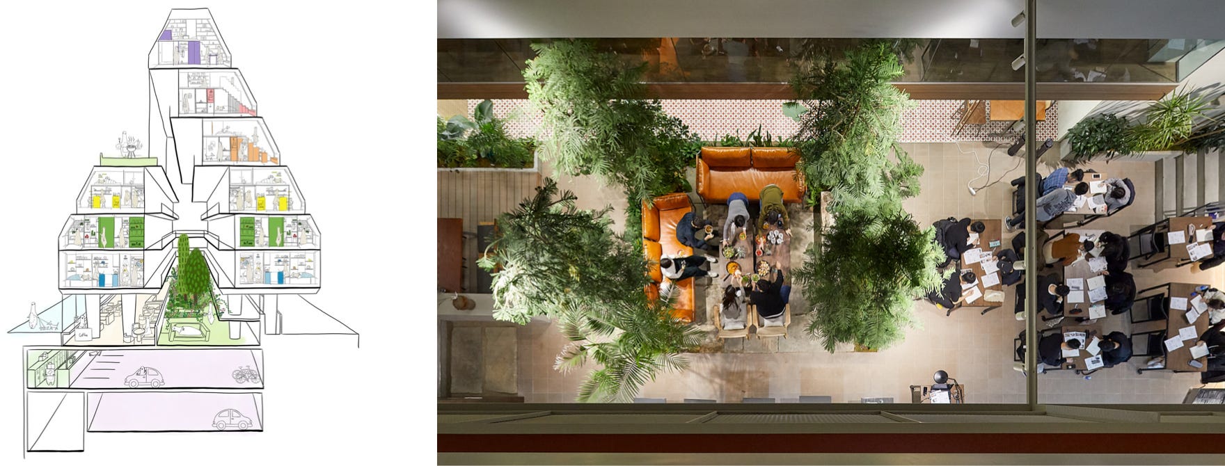 Approaching shared living through design - by Coco Liu