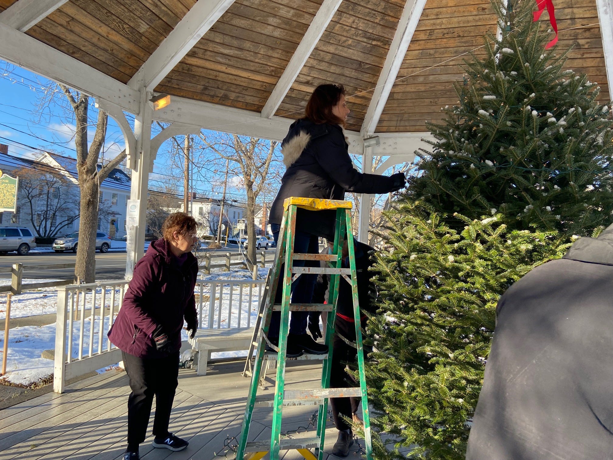 A Memory tree for you and for me