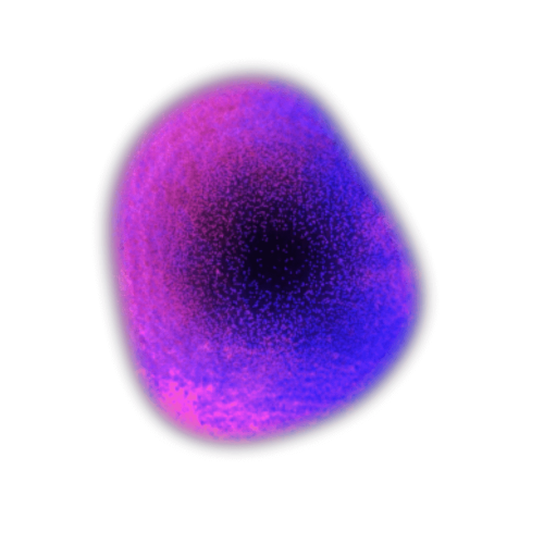 Reflections, Imbolc 2022 - by Gemma Mortensen