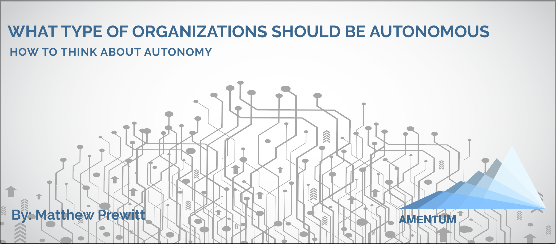 What Types Of Organizations Should Be Autonomous?
