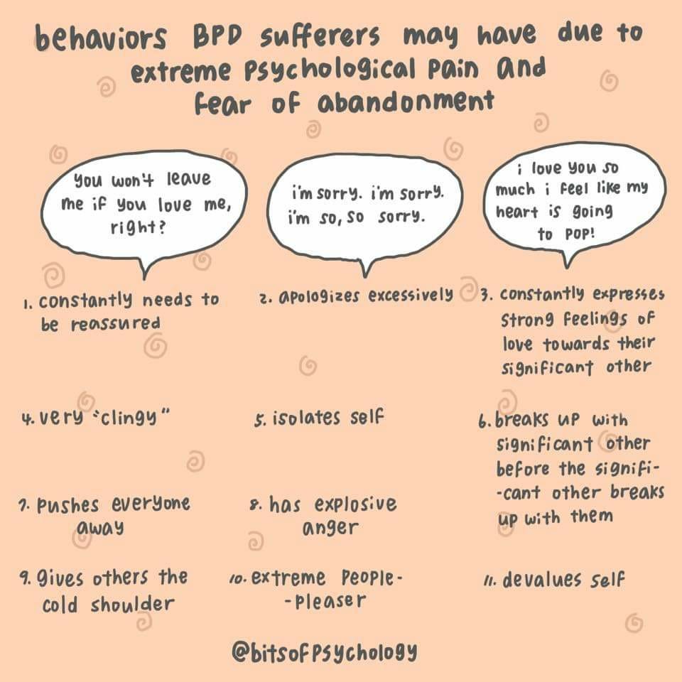 Neuroanatomical Differences Between Normies & Bippity Boos