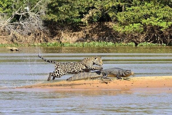 Time, The Invincible Predator. - No BS Yoga