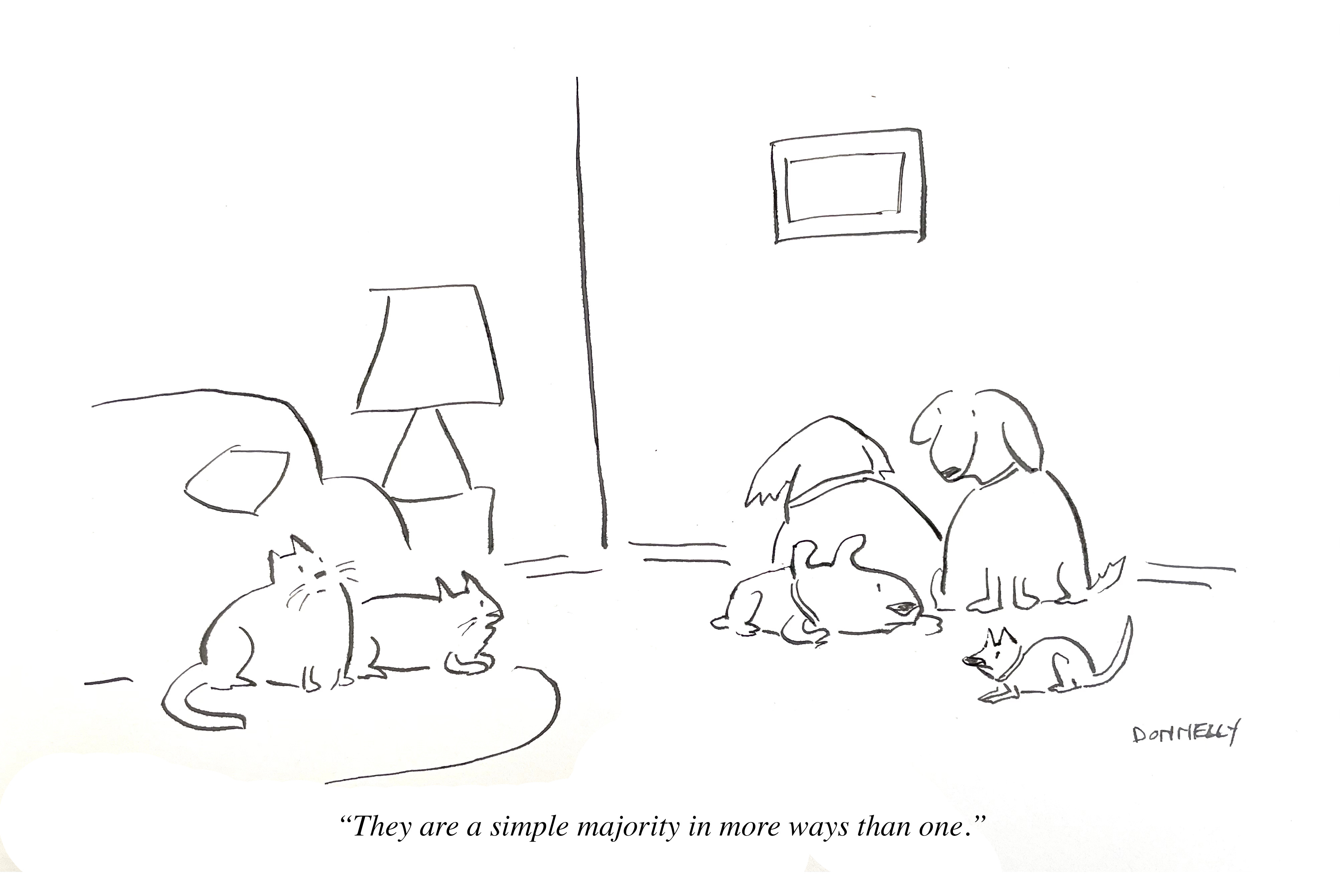 My Upcoming Drawing - by Liza Donnelly - Seeing Things