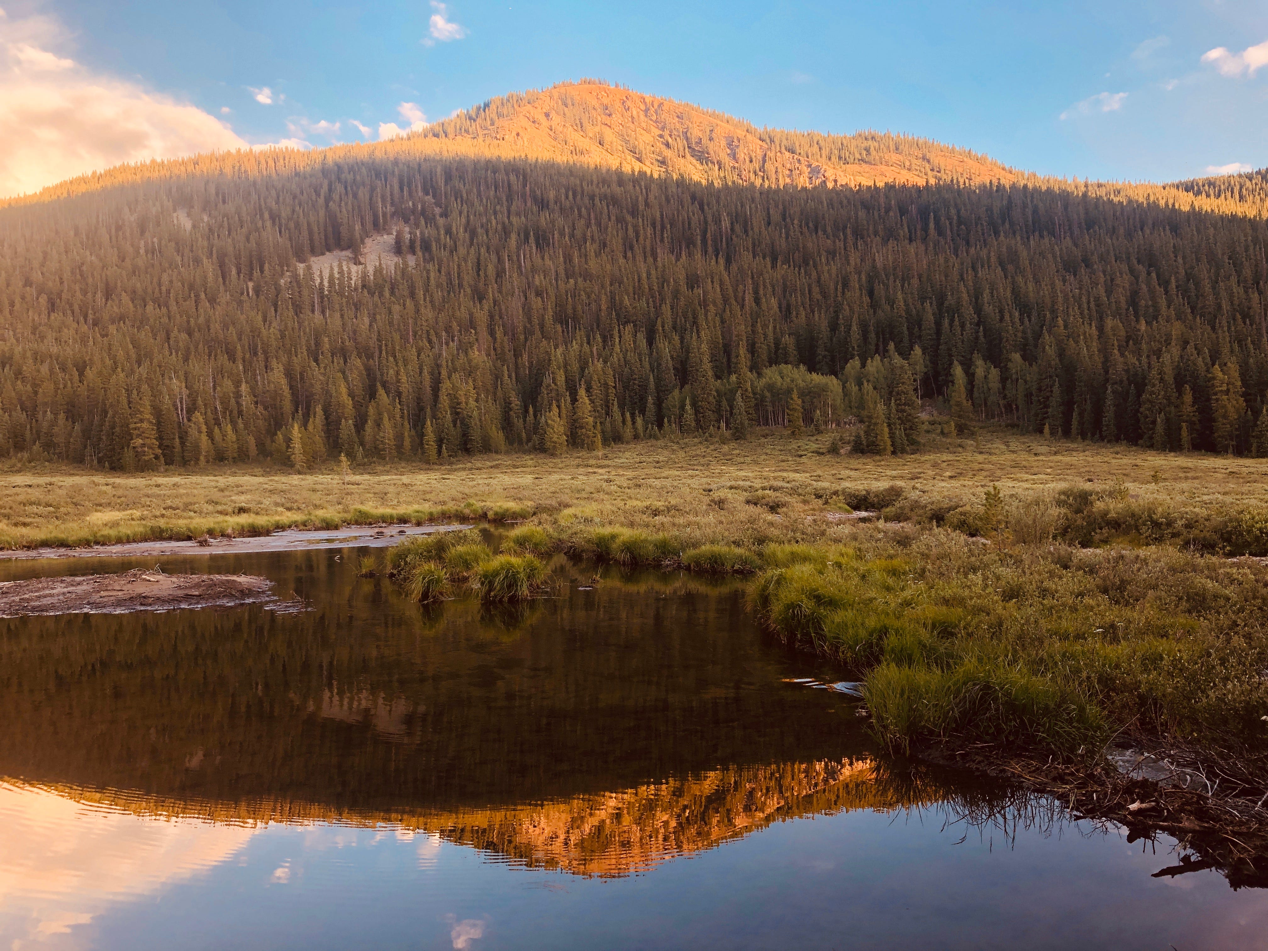 Deepening with the Moon - by Kelly Moody - ground shots web