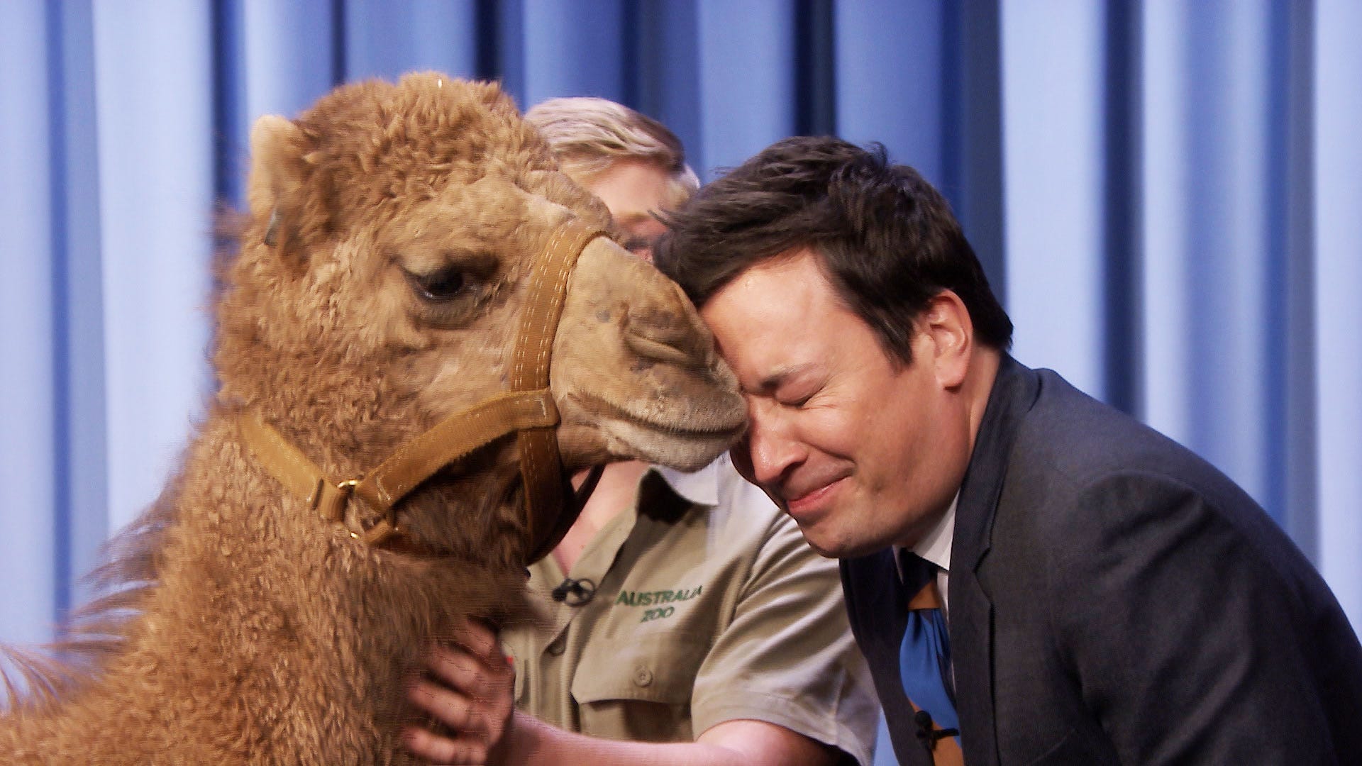 Is Camel Toe Sexy? An Investigation - by Randee Neumeyer