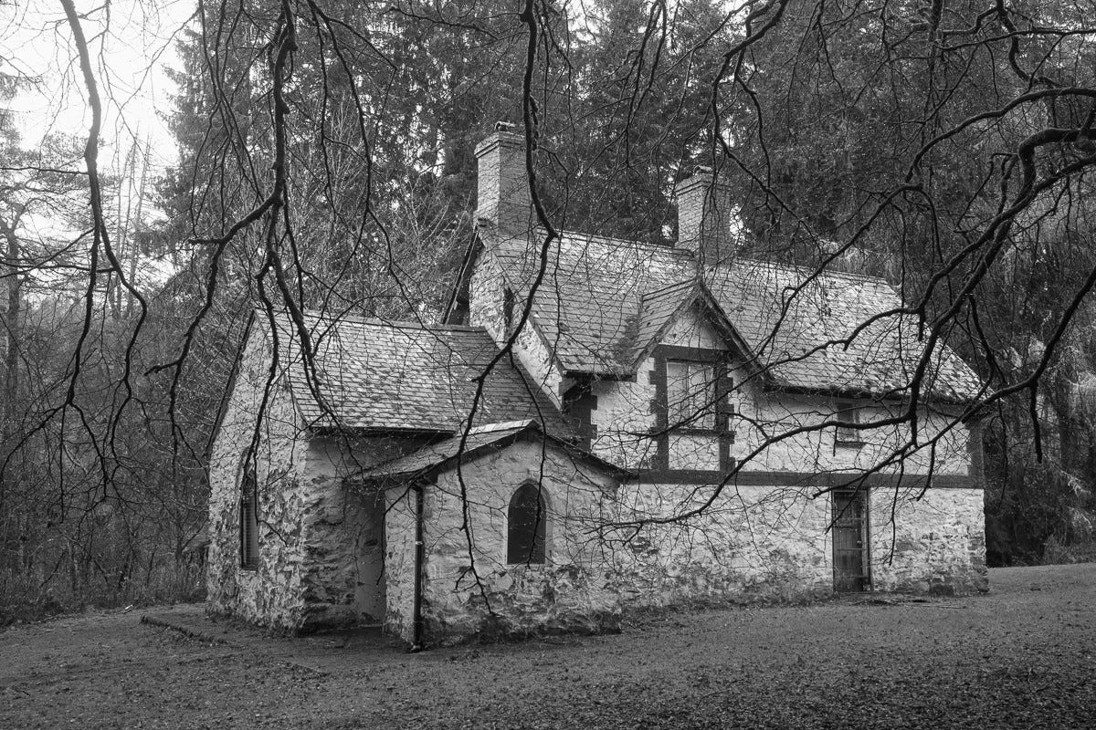 2021 - A Year In Review - by Matthew Martin - Endless Proof