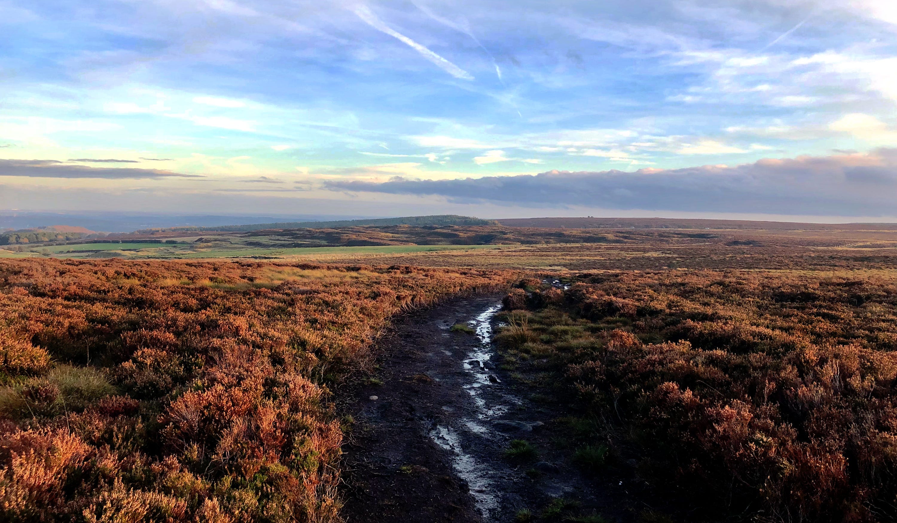 Why Mud's Good - by David Bocking