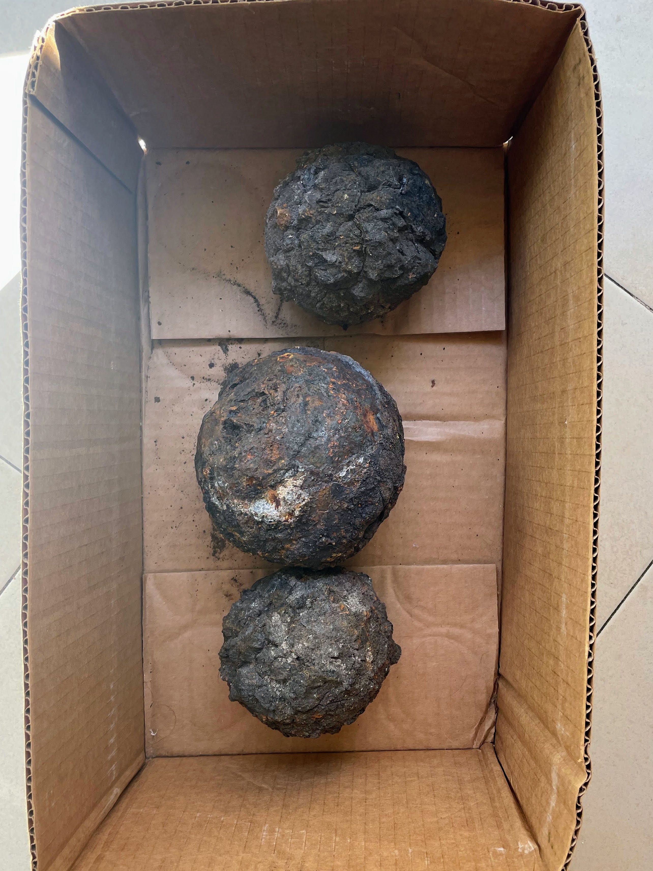 Dirt, Cannonballs and Walls - by Nancy Whiteman