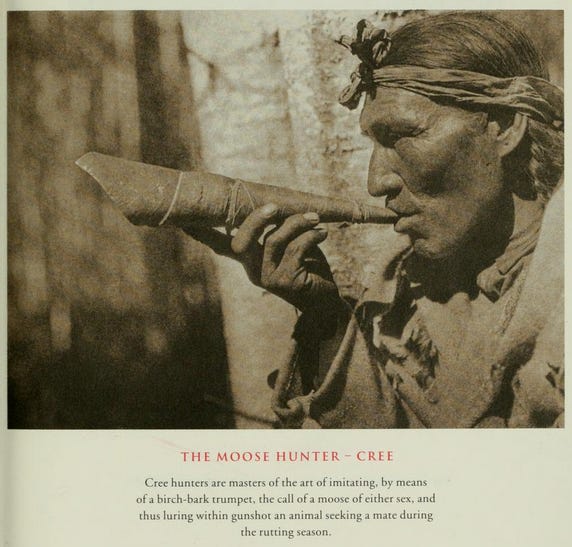 Some Uses of Musical Instruments in Hunter-Gatherer Societies