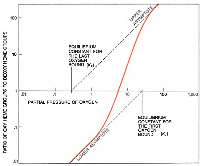 The Molecular Lung - by Brian Mowrey - Unglossed