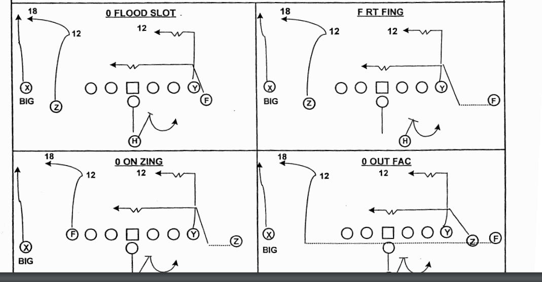 What is OC Musgrave’s Erhardt-Perkins Scheme and What to Expect