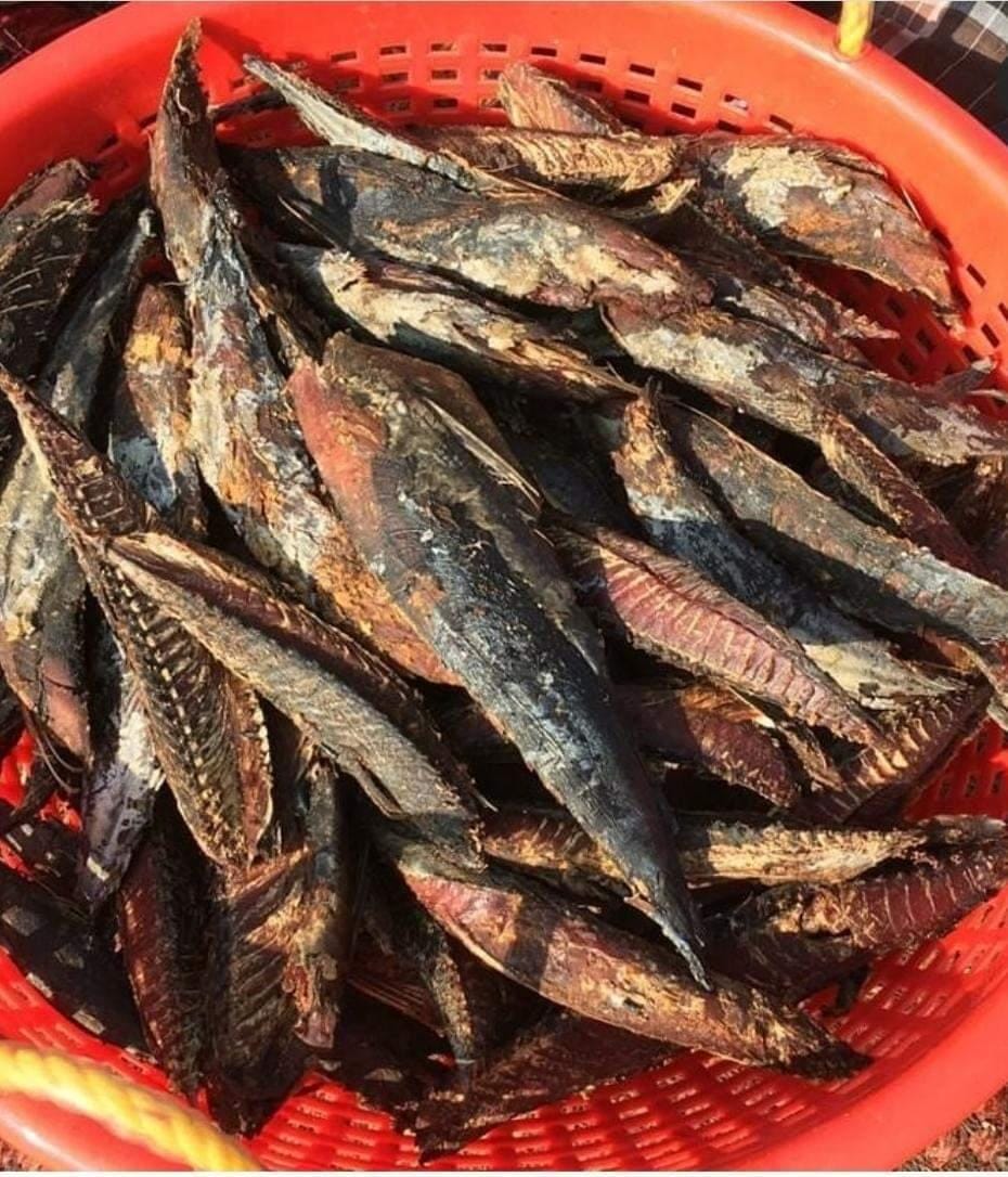 Rare Morsels: Culinary Secrets from Coastal Tamil Nadu