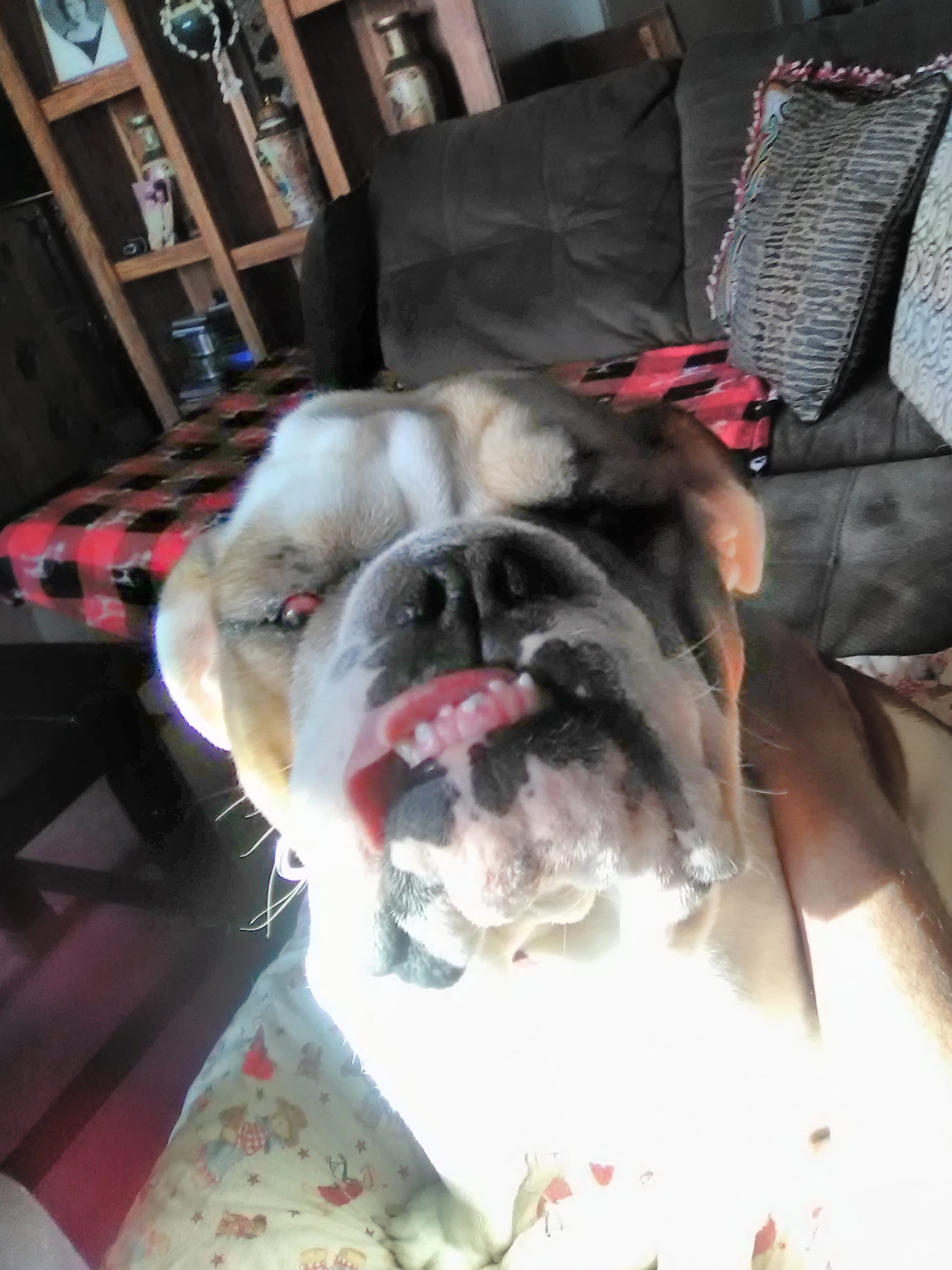 Brian Carson | Substack