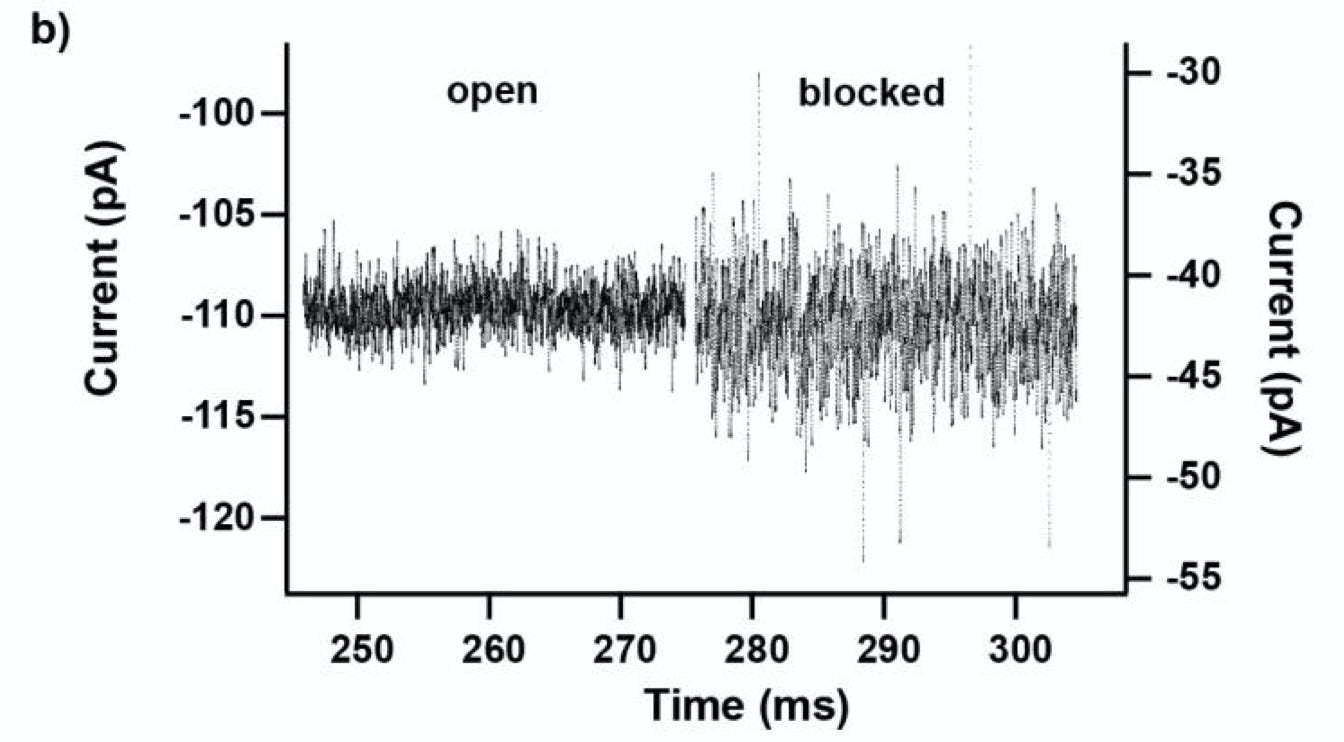 Dreampore - Nanopore Protein Sequencing - by Nava Whiteford